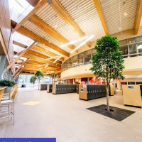 Collingwood School Reviews, Programs & Academics | Lechool