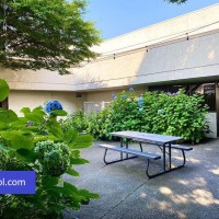 Canada Star Secondary School Reviews, Programs & Academics | Lechool